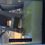 Super Quick Concrete Dissolver