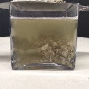 Super Quick Concrete Dissolver